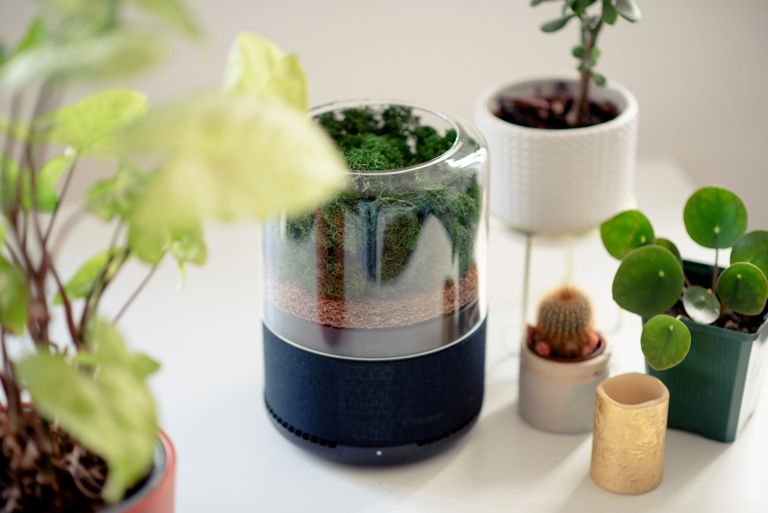 briiv: The Best Eco-Friendly & Plastic-Free Air Filter For Homes ...